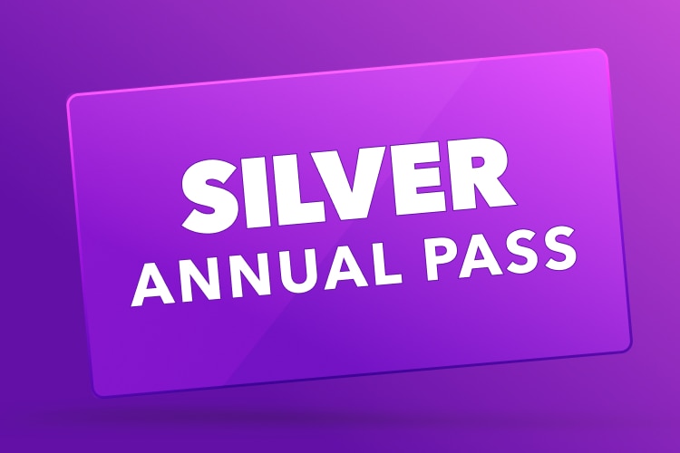 Universal Studios Hollywood Silver Annual Pass graphic on a purple ...